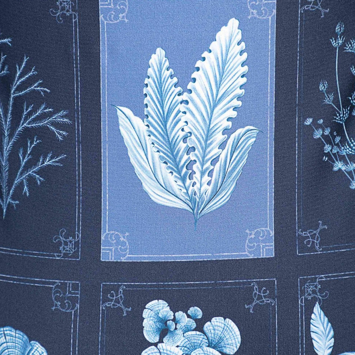 Lavanda Algae Wrap – YILDIZ AYLIN